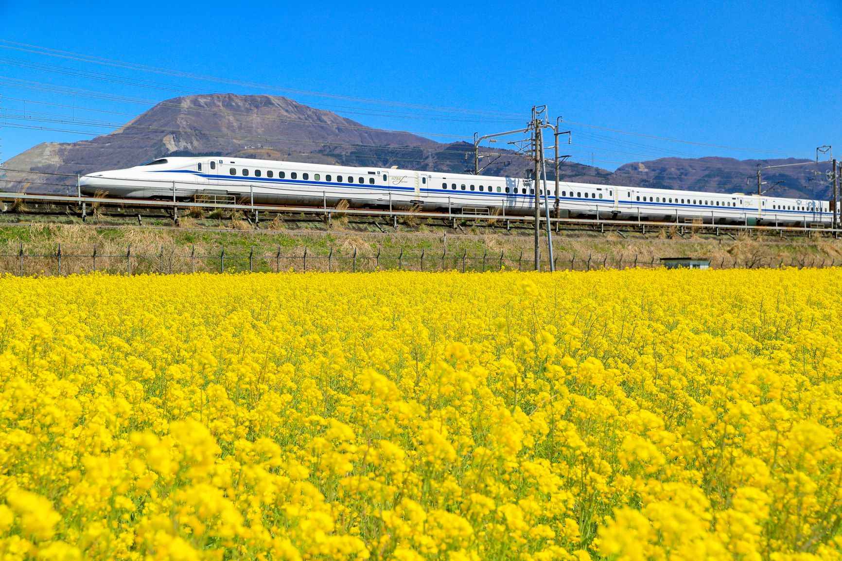 Train Tickets in Japan | Japan Experience