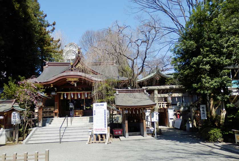 Hachioji Guide | Japan Experience