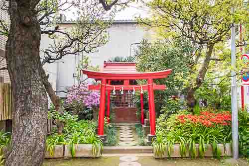 Chofu | Japan Experience