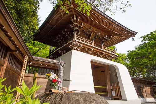 Chofu | Japan Experience