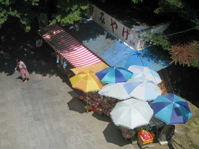 Takasaki Guide Gunma | Japan Experience