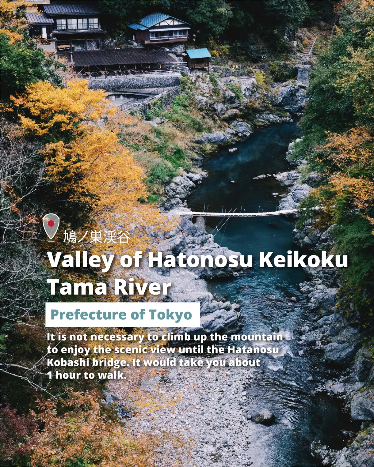 Mountain hikes near Tokyo | Japan Experience