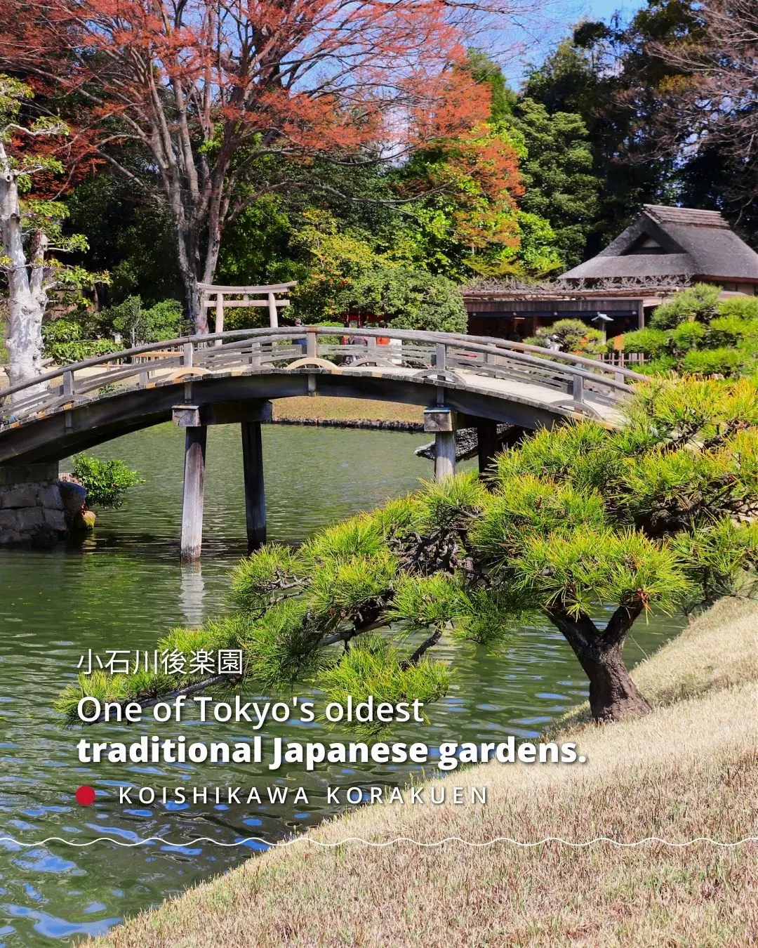 Top 10 parks and gardens in Tokyo | Japan Experience