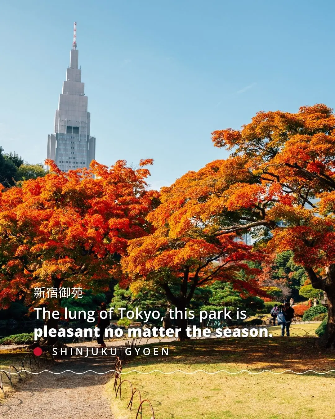Top 10 parks and gardens in Tokyo | Japan Experience
