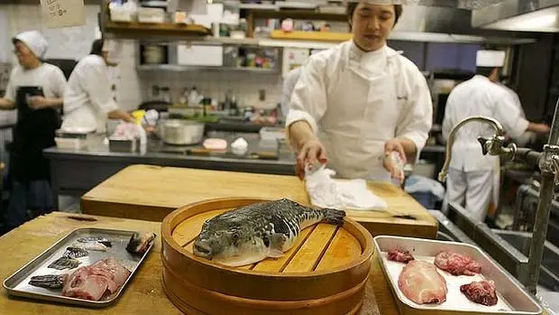 Fugu, le poisson-poison | Japan Experience