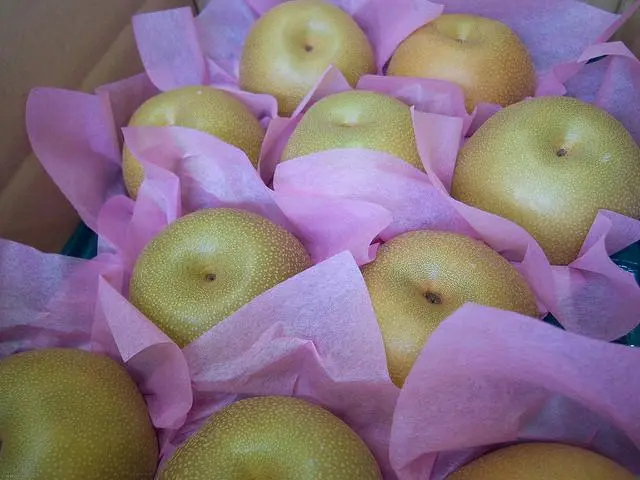 Les fruits au Japon : toute une culture ! | Japan Experience