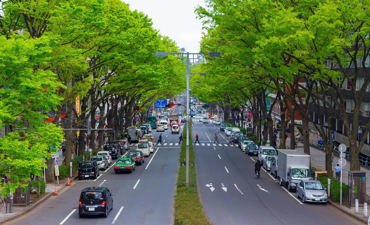 Omotesando | Japan Experience