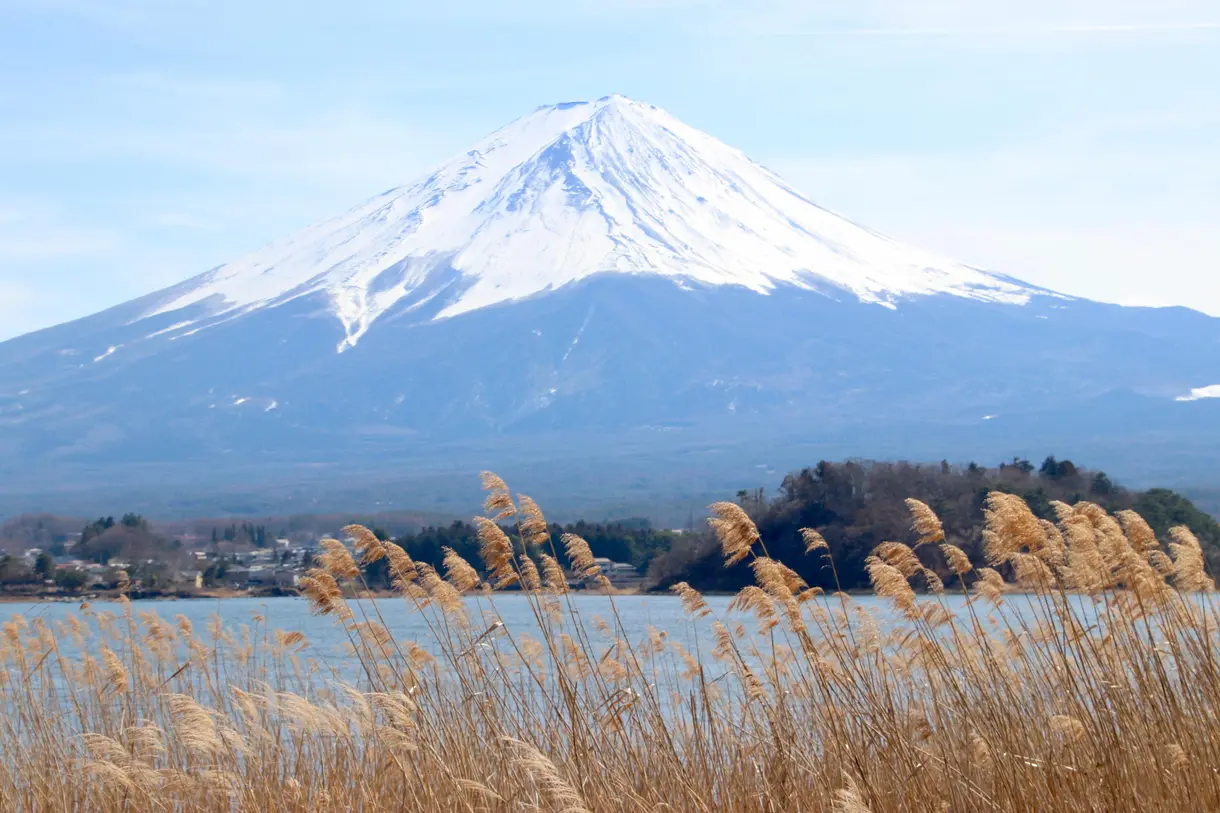 Train JR - "FUJI EXCURSION" | Japan Experience