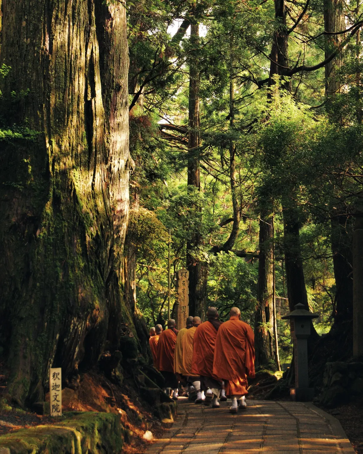 Koyasan: travel guide, accommodations & activities in Koyasan| Japan ...