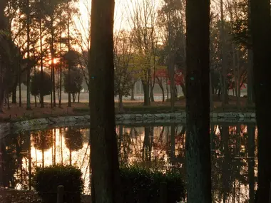 Tsukuba Travel Guide | Japan Experience