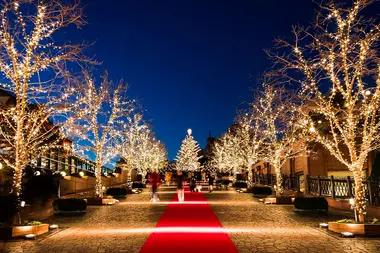 Christmas markets in Tokyo | Japan Experience