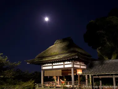 Tsukimi in Japan: Weiße Kaninchen, Mochi und der Mond | Japan Experience