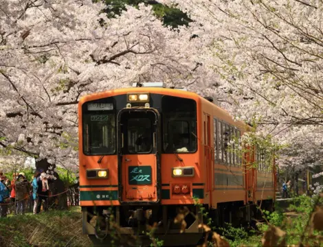 The Tsugaru Line | Japan Experience