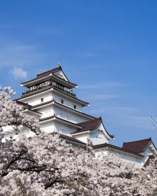 Tohoku Region Travel Guide | Japan Experience