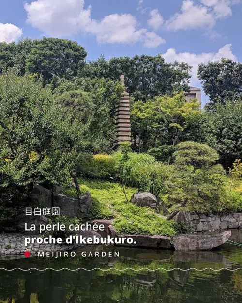 Top 10 des parcs et jardins de Tokyo | Japan Experience