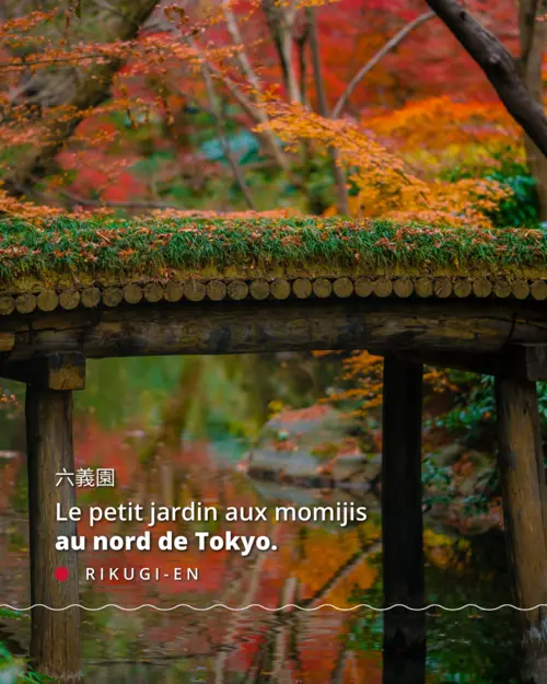 Top 10 des parcs et jardins de Tokyo | Japan Experience