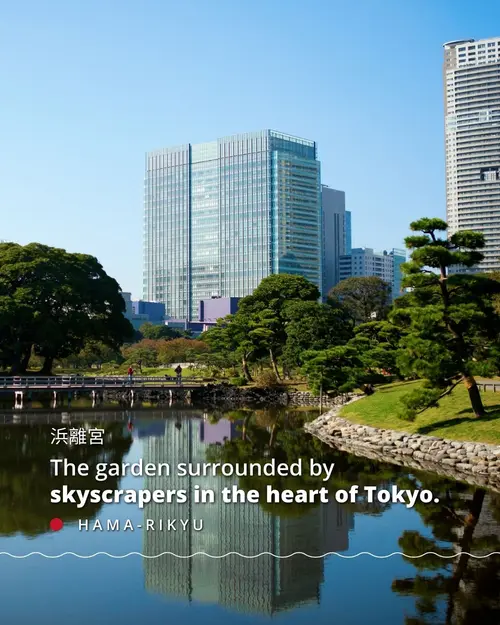 Top 10 parks and gardens in Tokyo | Japan Experience