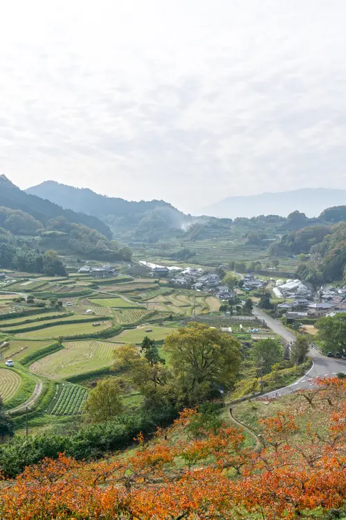 The village of Asuka, the first capital of Japan | Japan Experience