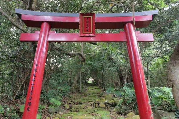 Torii, le portail sacré du Japon | Japan Experience