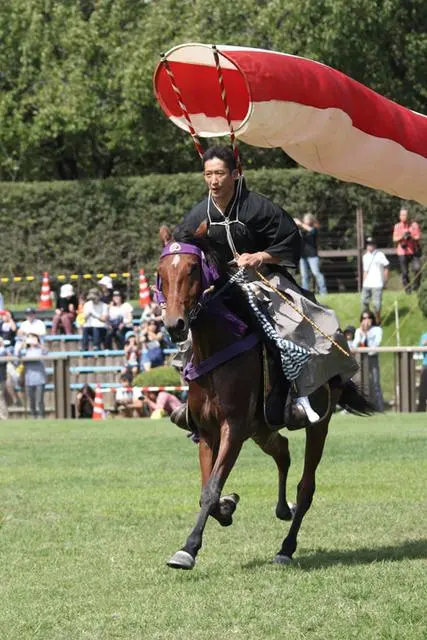 The horse in Japan | Japan Experience