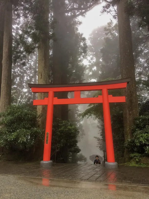 Torii, le portail sacré du Japon | Japan Experience