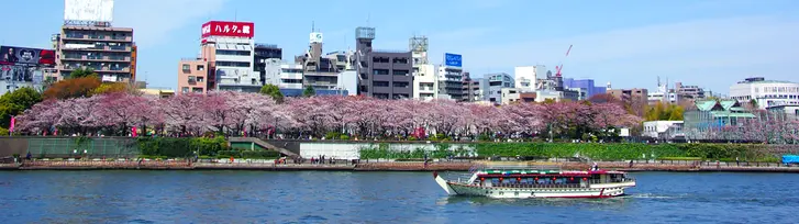 Guide to Spring in Japan | Japan Experience