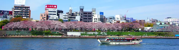 Sumida River Tokyo | Japan Experience