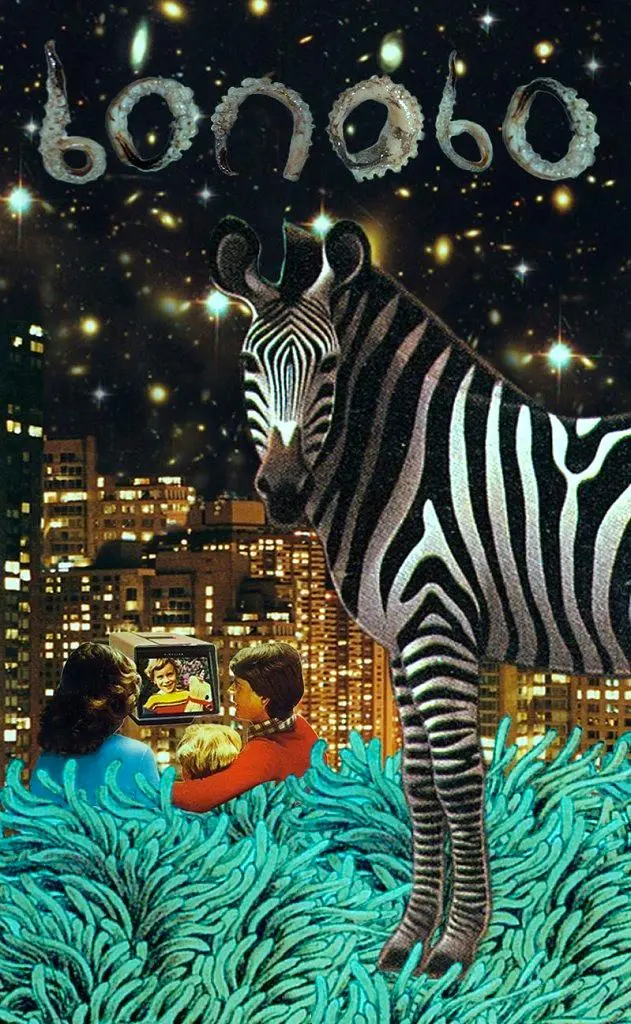 The Bonobo bar | Japan Experience