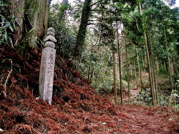 Pilgrimage hikes in Japan | Japan Experience