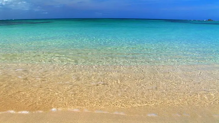 L'île Amami-Oshima | Japan Experience