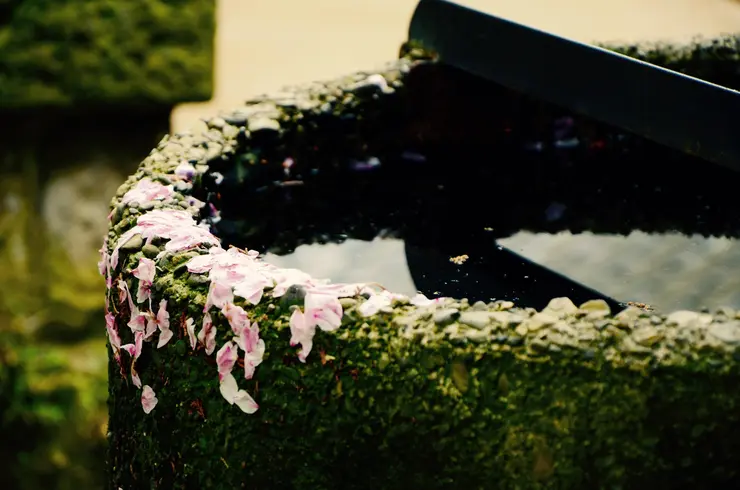 Tanka poetry | Japan Experience