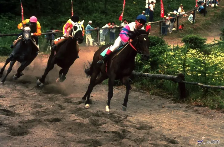 The horse in Japan | Japan Experience