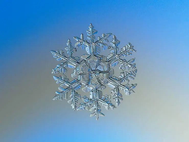 The Nakaya Ukichiro Snow and Ice Museum | Japan Experience