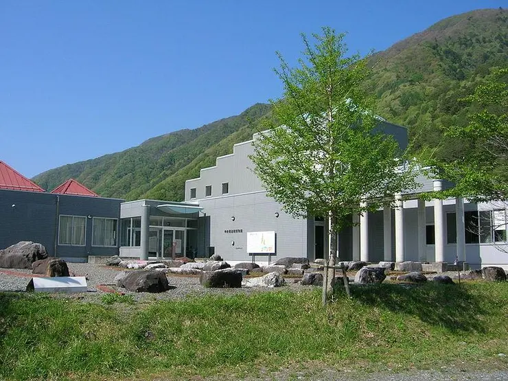 Oshika | Japan Experience