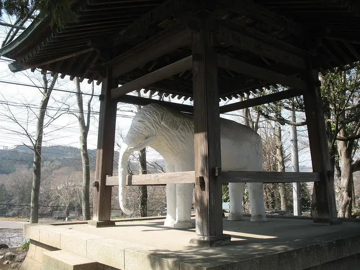 Hanno | Japan Experience