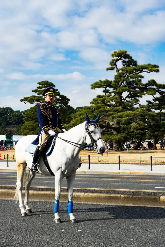 Gengo, Japanese imperial era names | Japan Experience