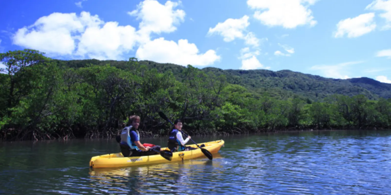 Activity in Japan : Kayaking and trekking on Iriomote Island | Japan ...