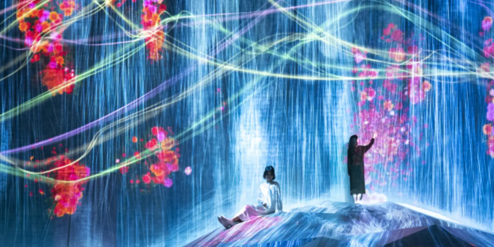 Japan Activity: teamLab Borderless | Japan Experience