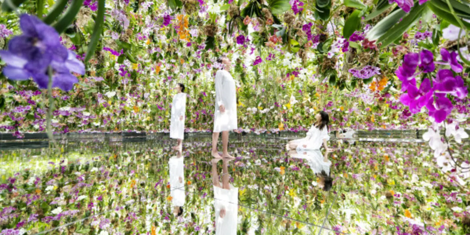 Activité au Japon : teamLab Borderless | Japan Experience