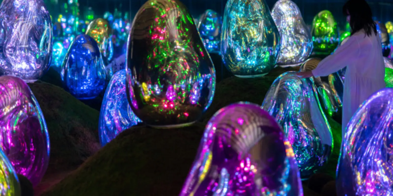 Activité au Japon : teamLab Borderless | Japan Experience