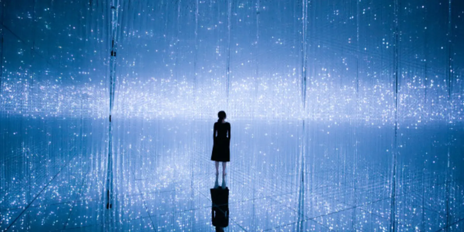 Activité au Japon : teamLab Borderless | Japan Experience