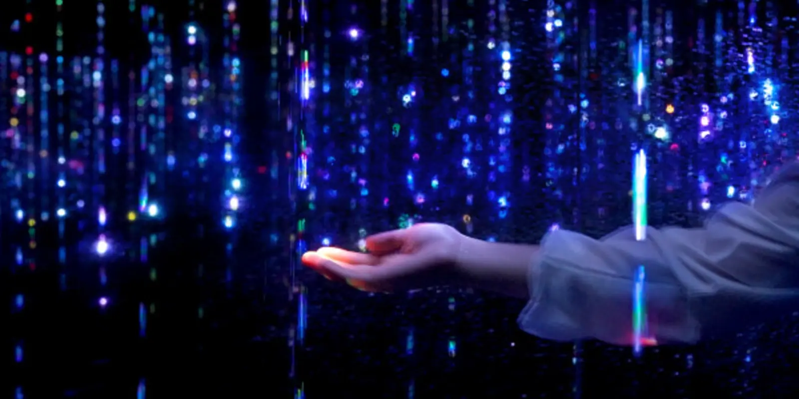 Activité au Japon : teamLab Borderless | Japan Experience