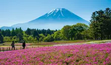 Ashiyu, Japanese foot baths | Japan Experience