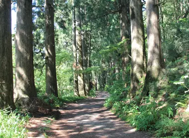 The Gokaido: the 5 historical roads of Japan | Japan Experience