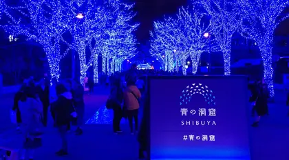 Japan's Christmas Trains | Japan Experience