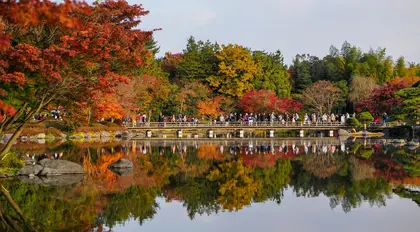 Top 10 parks and gardens in Tokyo | Japan Experience
