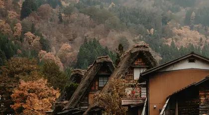 Gifu Prefecture Travel Guide | Japan Experience