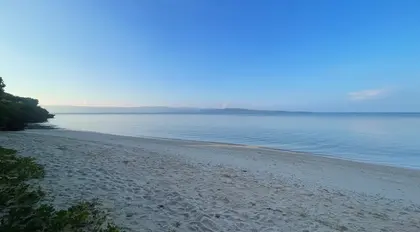 Découvrez Hatoma, l'île cachée des papillons d'Okinawa | Japan Experience