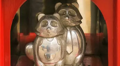 Tanuki - Japan's raccoon dog | Japan Experience