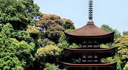 Ruriko-ji Temple in Yamaguchi City | Japan Experience